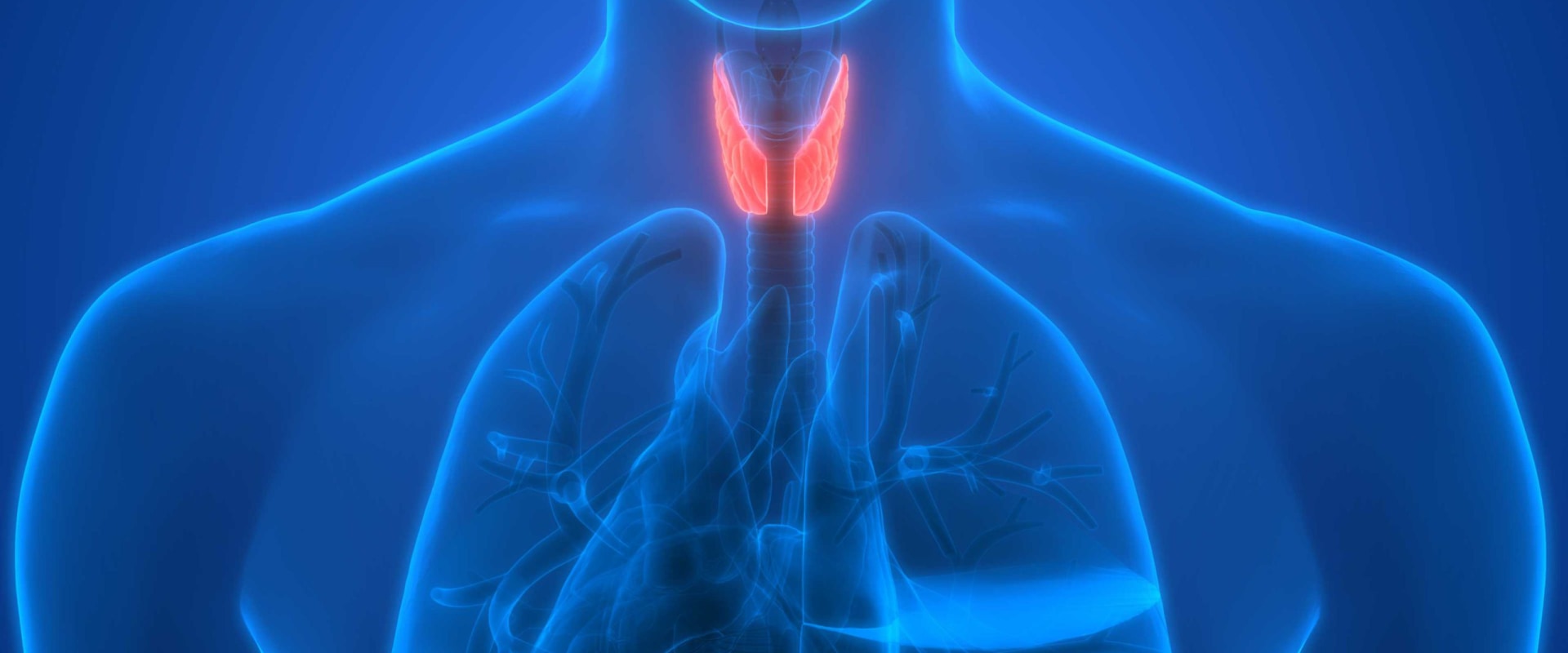 What is Thyroid Disease and How Can it be Managed?